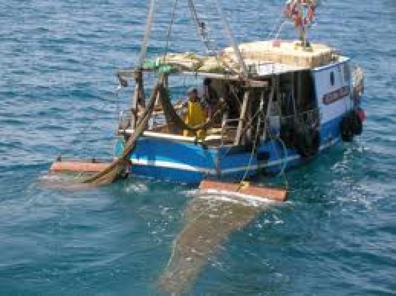 Pescherecci Pescara tornano in mare, domenica Marineria ritrova ...