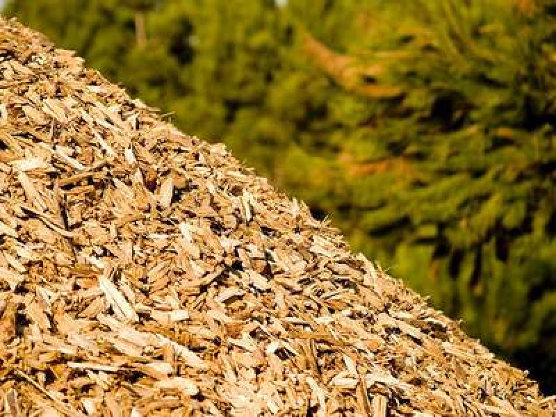 ET: ''Impianto biomasse di Bazzano grande opportunità per agricoltori e ...