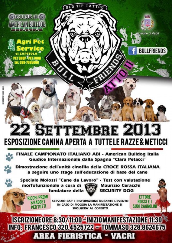 Bull Friends, domenica 22 settembre a Vacri (CH) - Cronaca Chieti ...