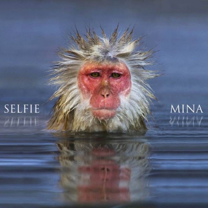 Mina Torna Con Il Nuovo Album "Selfie". Il Macaco In Copertina Fa ...