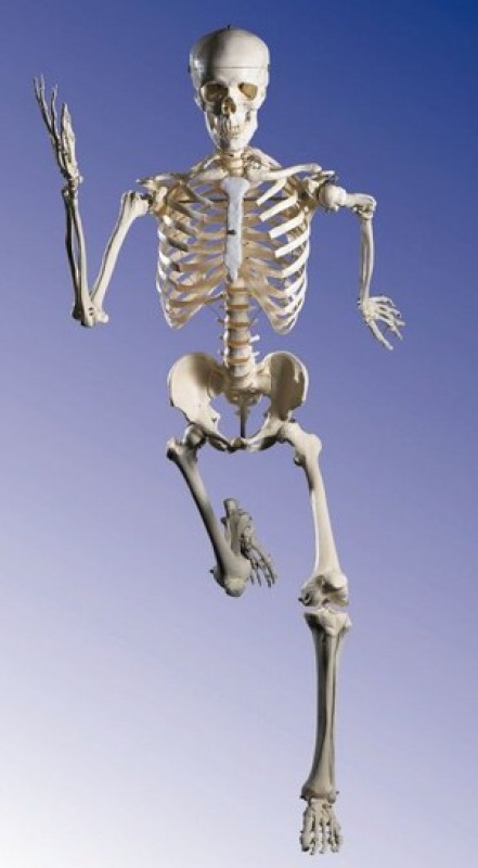 Ricerca dell'Università dell'Aquila svela nuovi meccanismi per ...