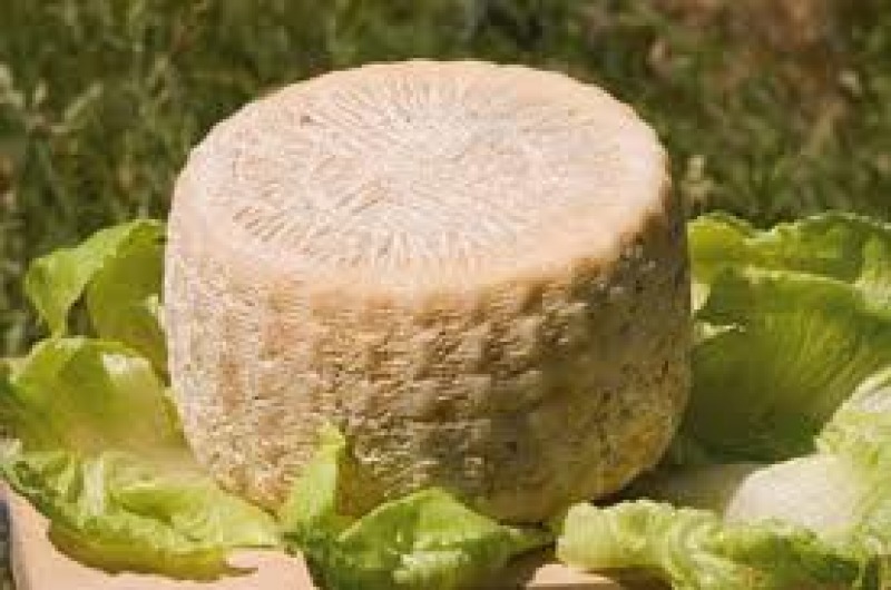 Formaggio caprino abruzzese - Cronaca nazionale - Abruzzo24ore