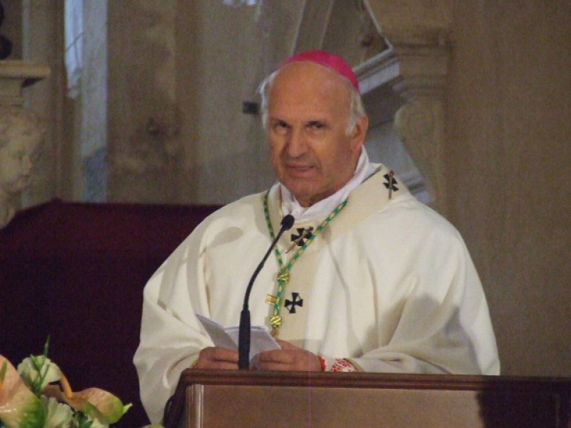 I cinquantanni di sacerdozio del vescovo Giuseppe Molinari in una ...