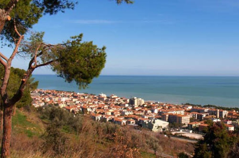 Il Comune di Pineto si impegna per ricollocazione dei lavoratori Asu ...